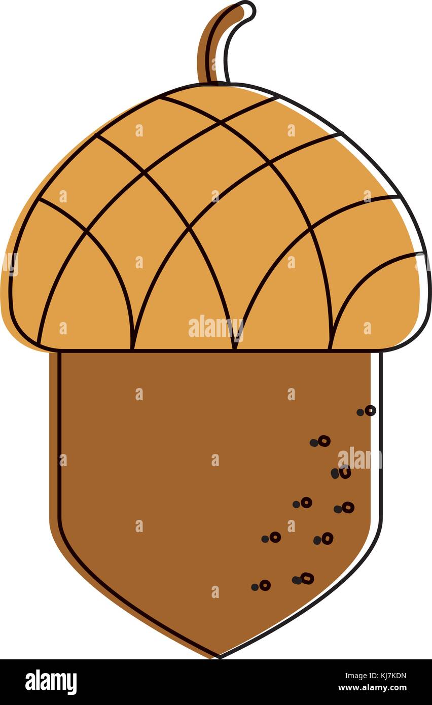 Isolated acorn design Stock Vector Image & Art - Alamy