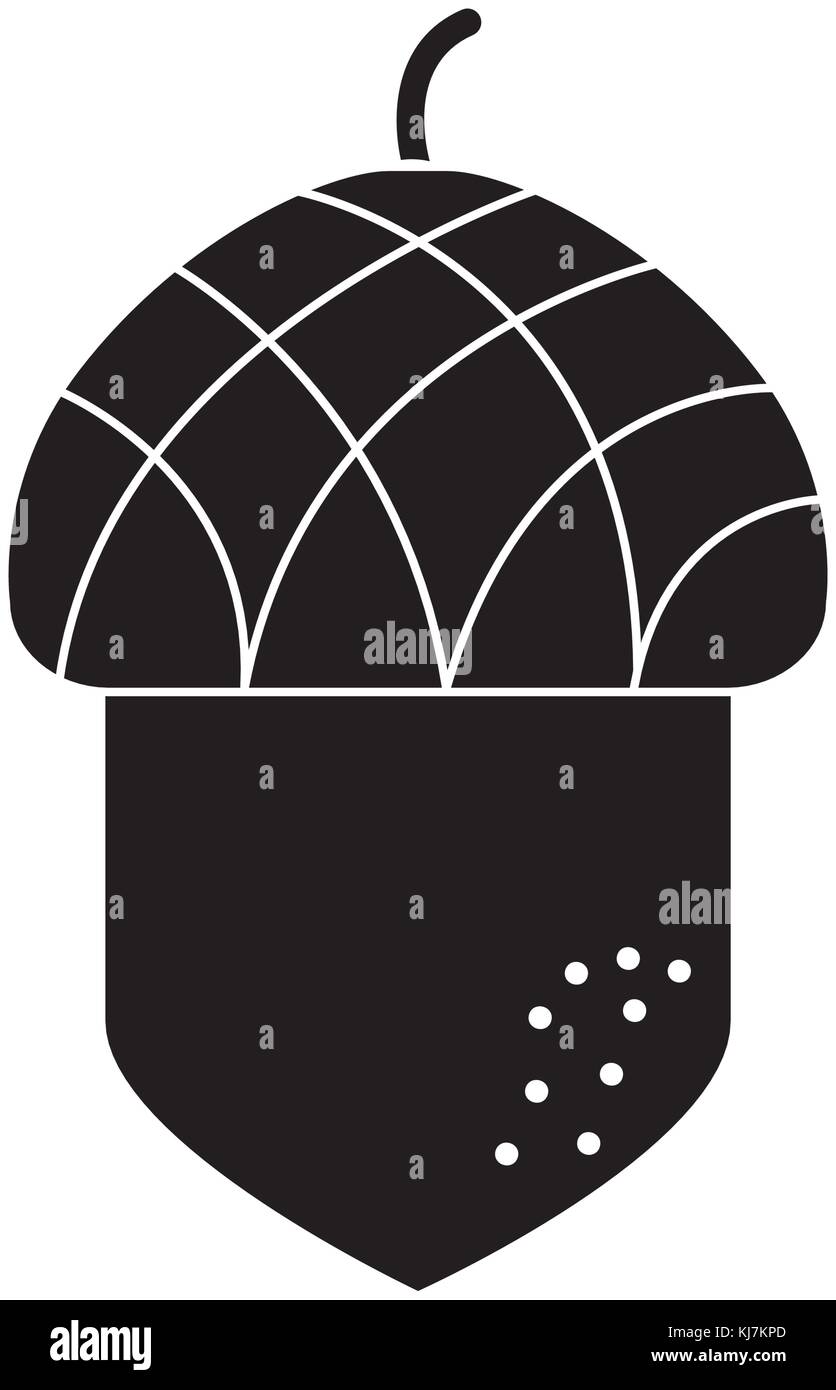 Isolated acorn design Stock Vector Image & Art - Alamy