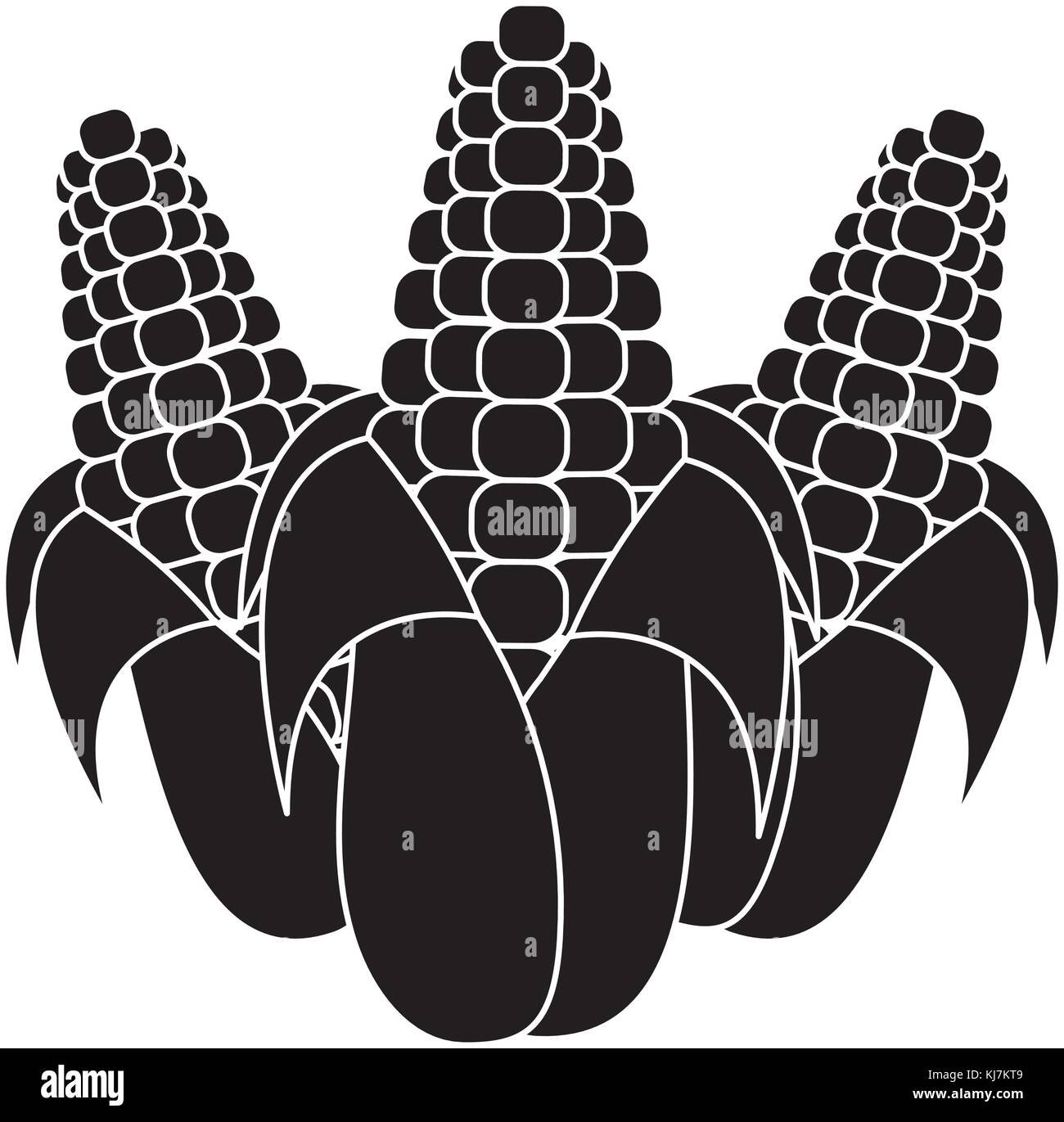 Isolated corn design Stock Vector Image & Art - Alamy