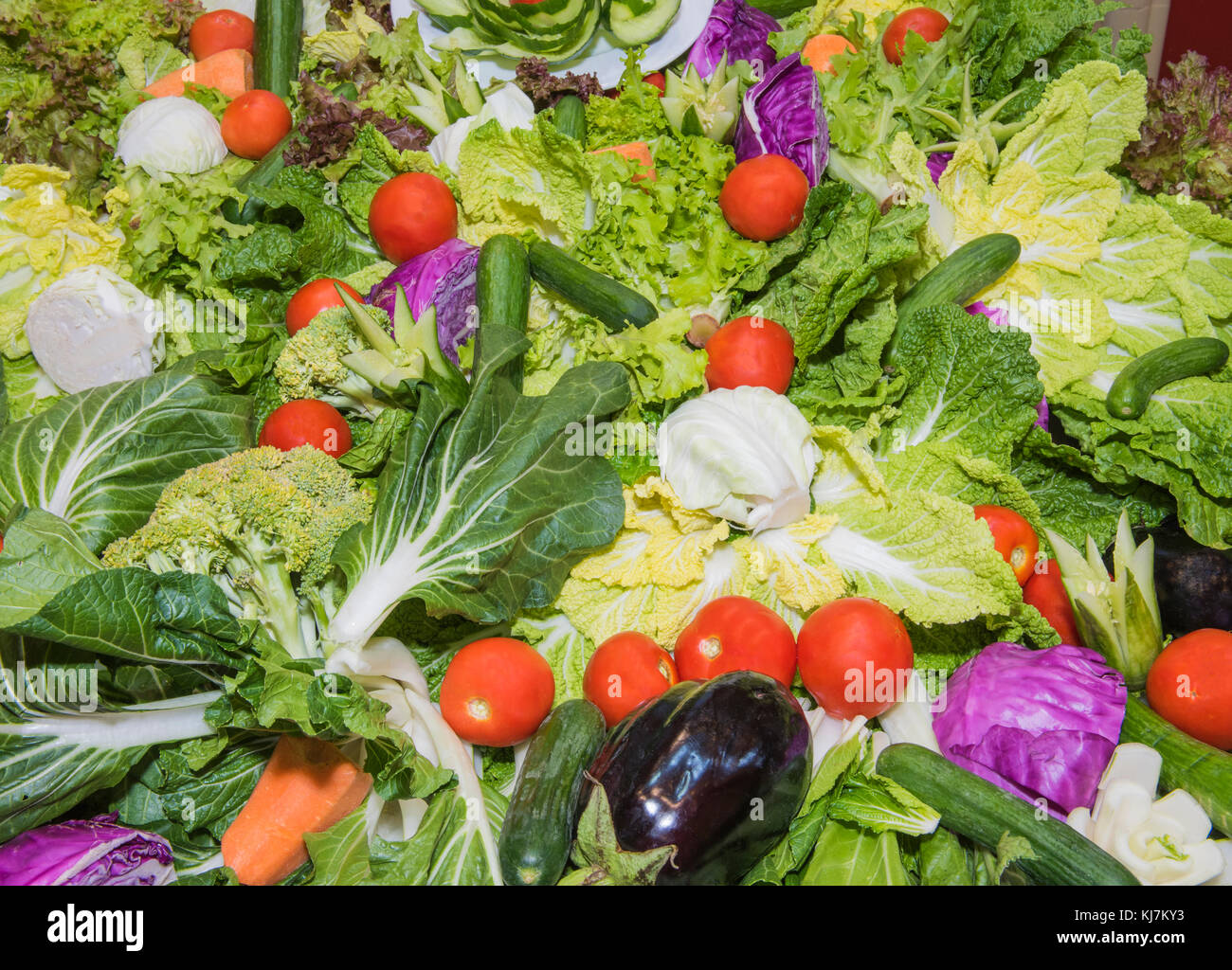 Selection display of salad food at a luxury restaurant buffet bar area ...