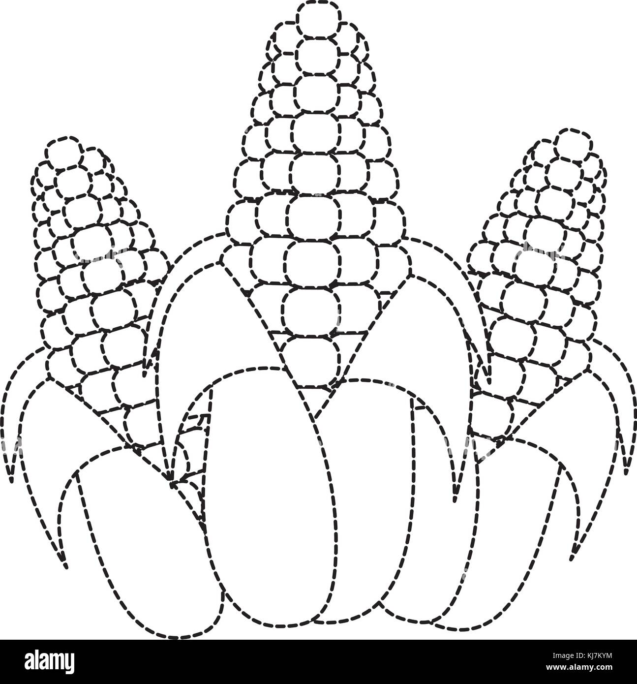 Isolated corn design Stock Vector Image & Art - Alamy