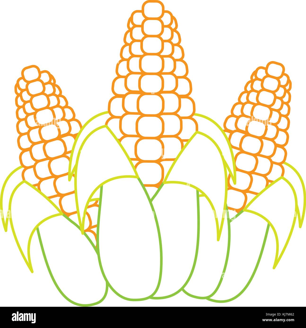 Isolated corn design Stock Vector Image & Art - Alamy
