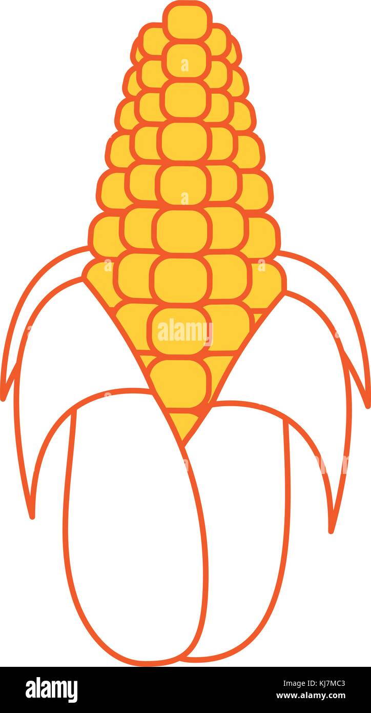 Isolated corn design Stock Vector Image & Art - Alamy
