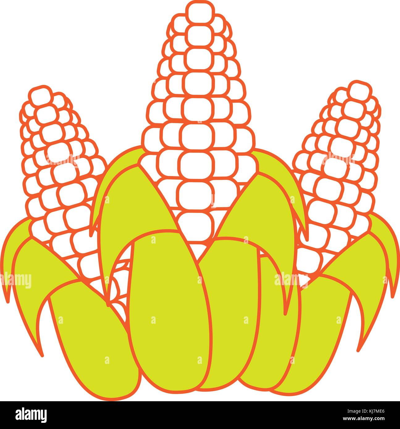 Cultivation of corn Stock Vector Images - Alamy