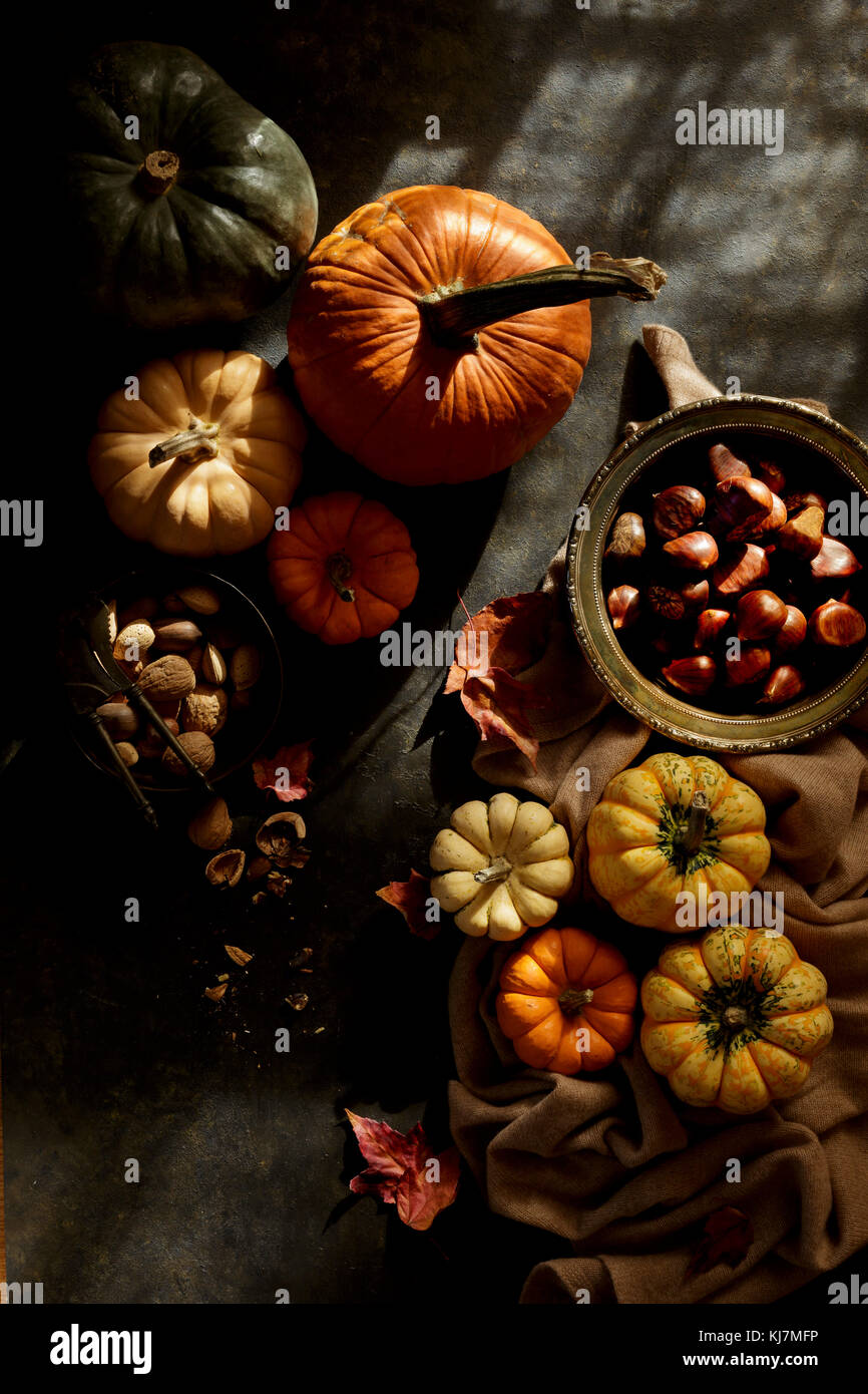 Pumpkin and nuts, fall image Stock Photo - Alamy