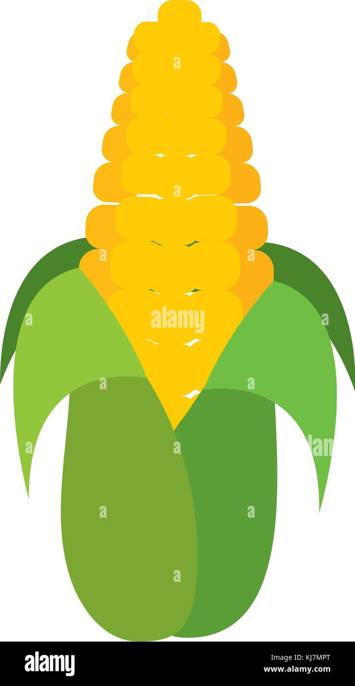Isolated corn design Stock Vector Image & Art - Alamy