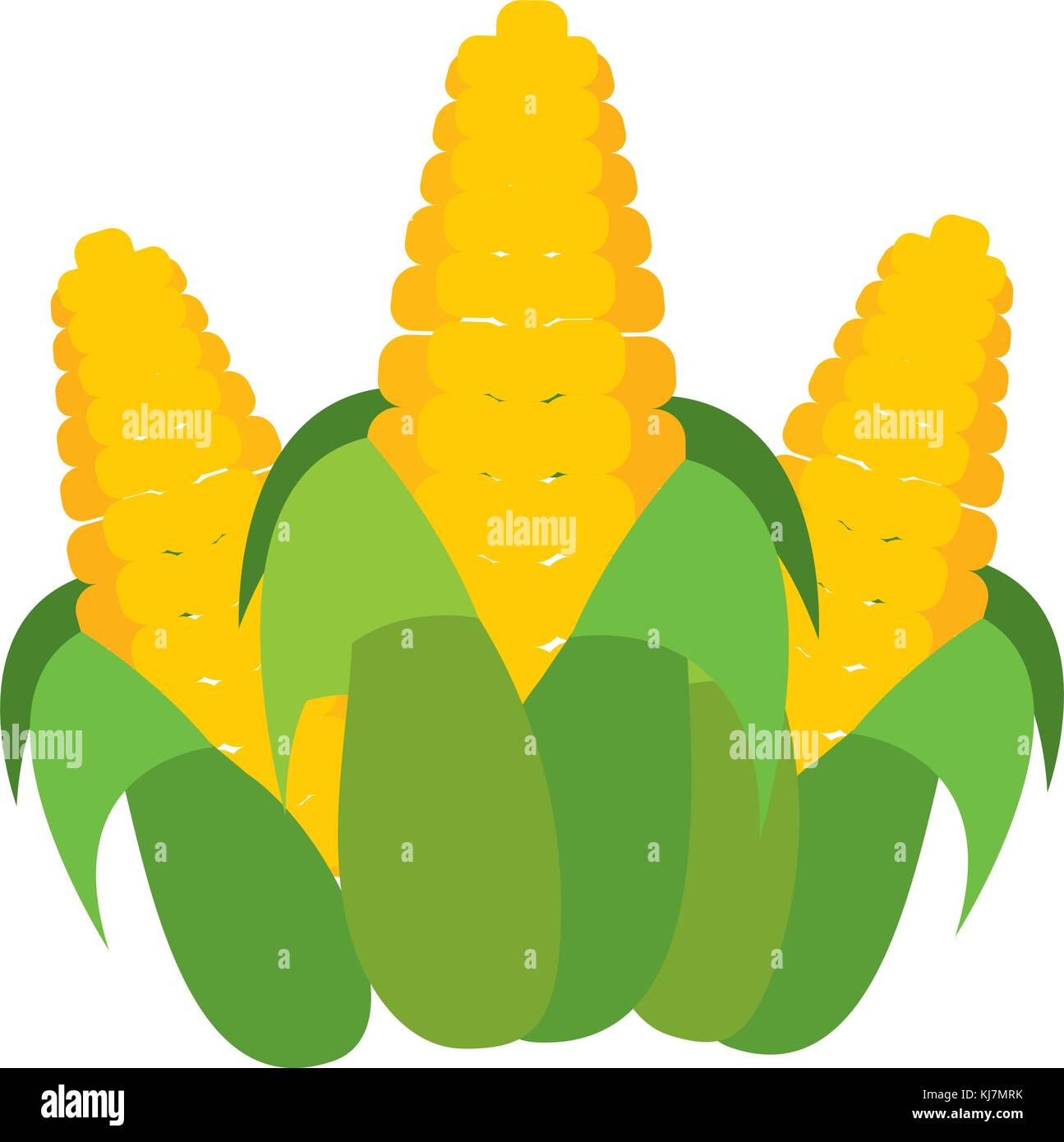 Isolated corn design Stock Vector Image & Art - Alamy