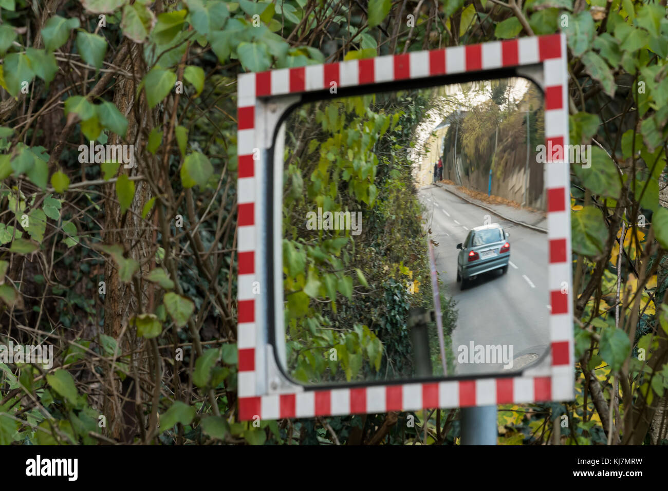 Reflection of a driving car in a mirror, green leaves Stock Photo - Alamy