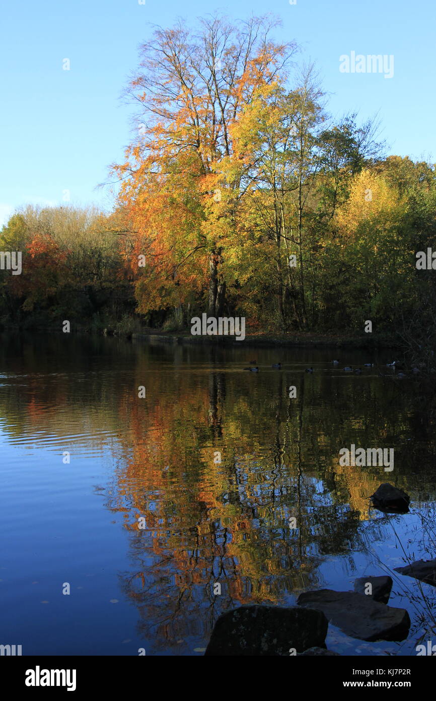 Rivelin Valley, Sheffield Stock Photo - Alamy
