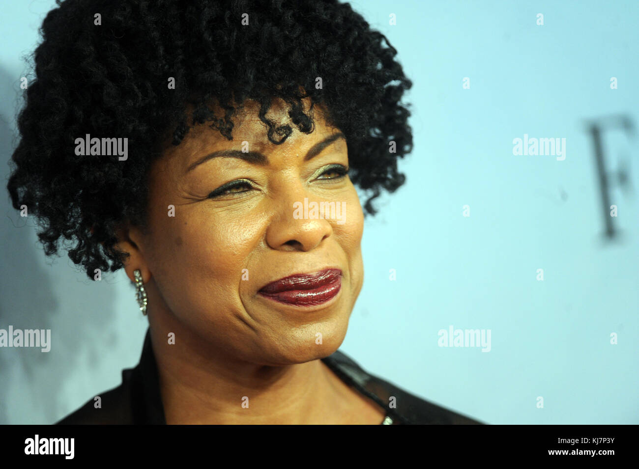 NEW YORK, NY - DECEMBER 10: Sheila Nash-Stevenson attends the 'Hidden ...