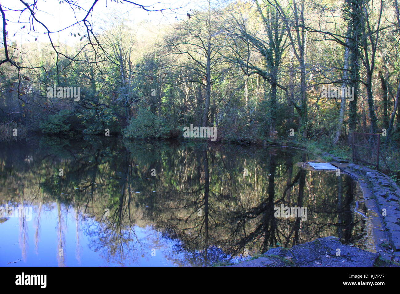 Rivelin Valley, Sheffield Stock Photo - Alamy