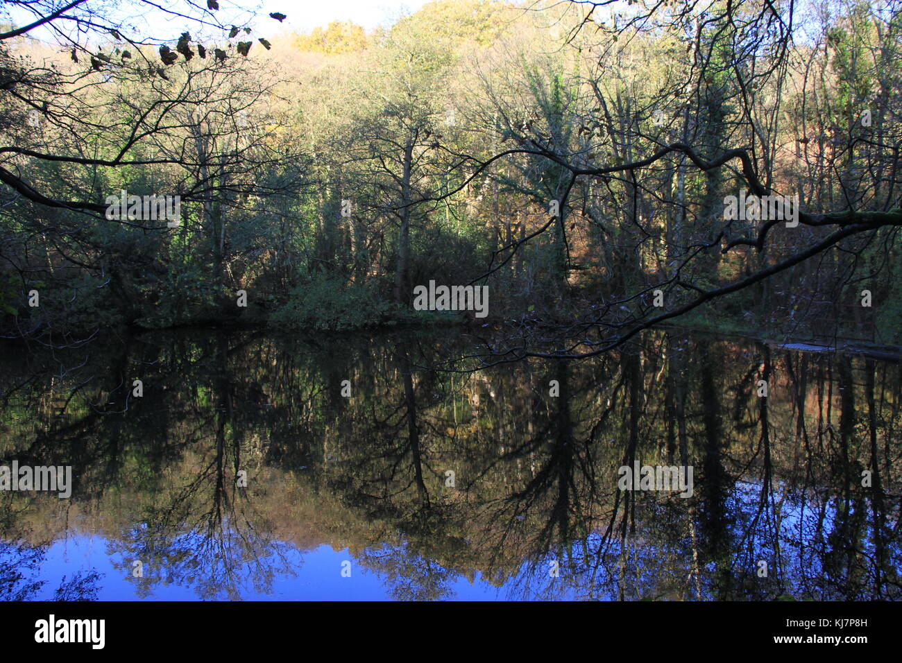 Rivelin Valley, Sheffield Stock Photo - Alamy