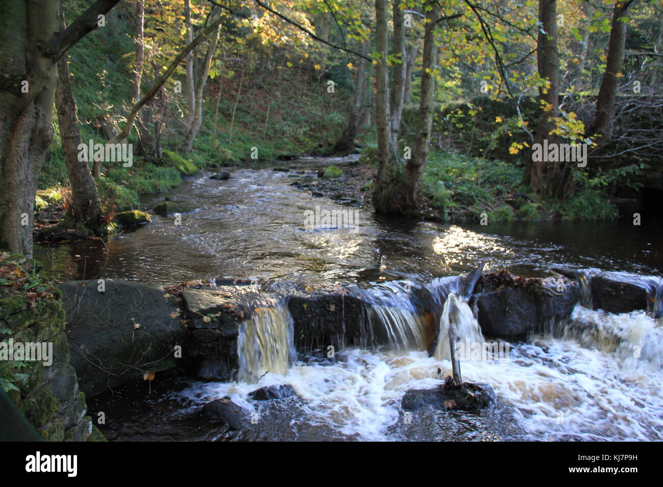 Rivelin Valley, Sheffield Stock Photo - Alamy