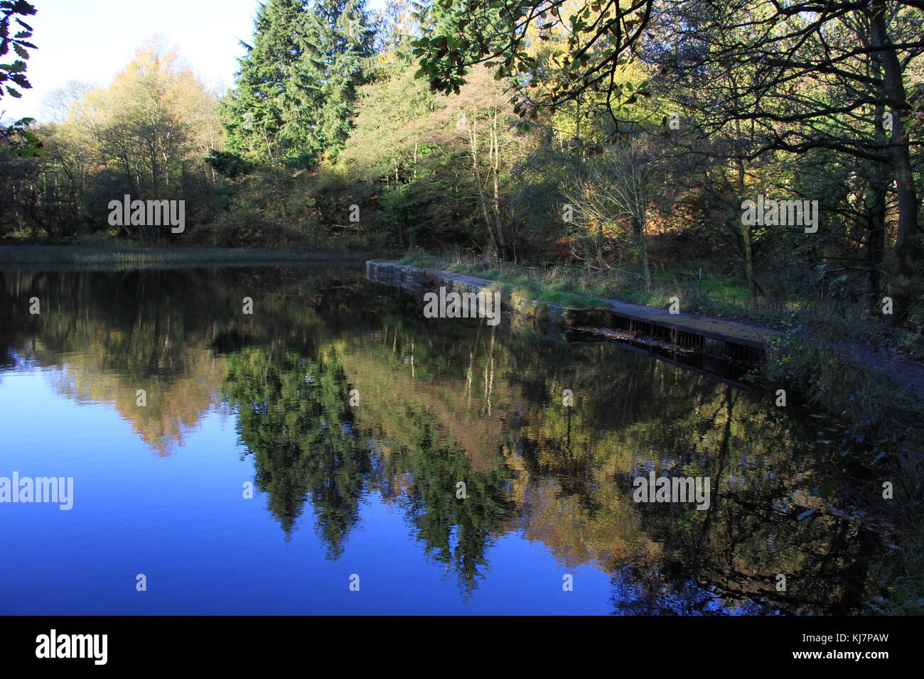 Rivelin Valley, Sheffield Stock Photo - Alamy