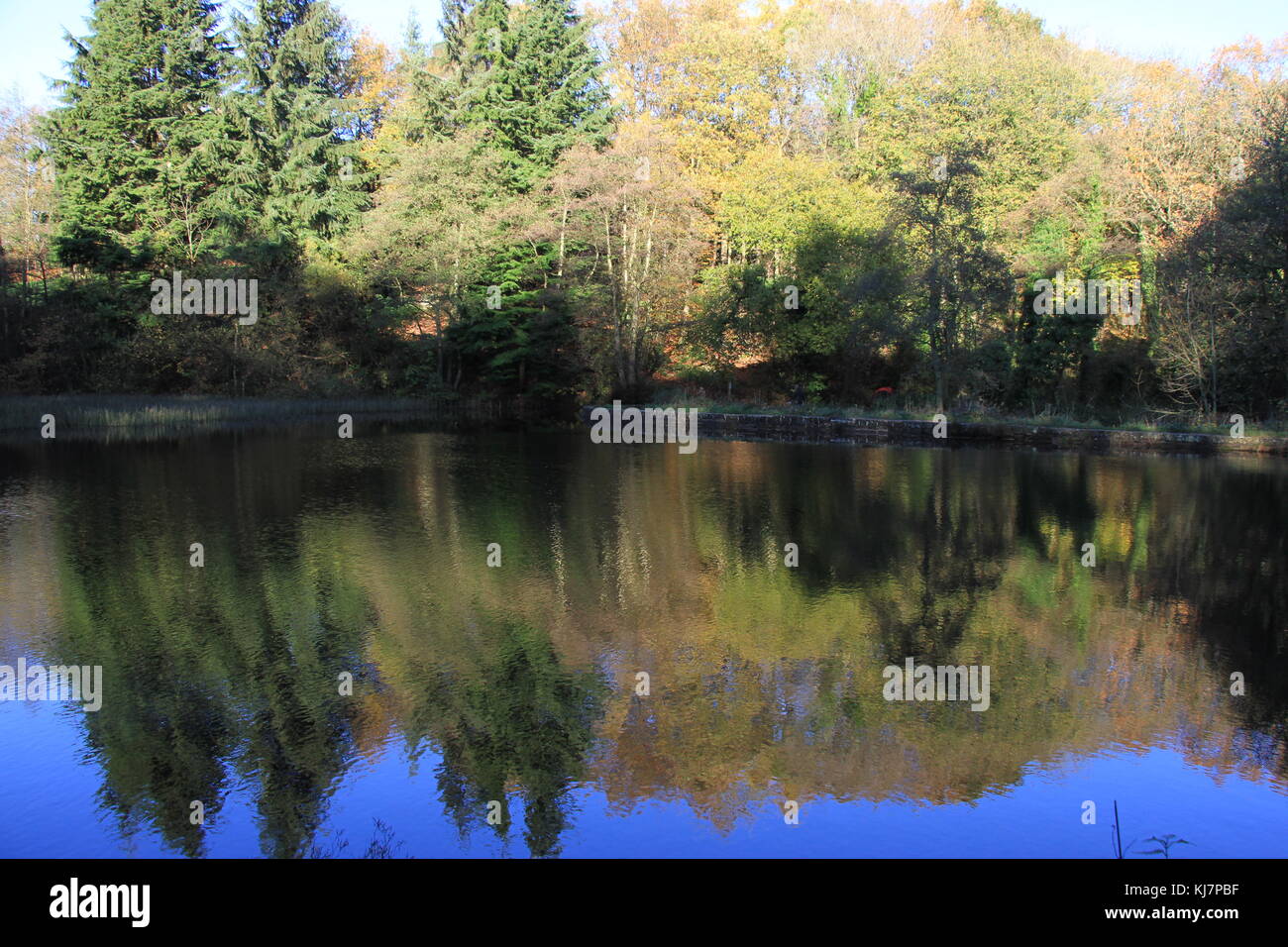 Rivelin Valley, Sheffield Stock Photo - Alamy