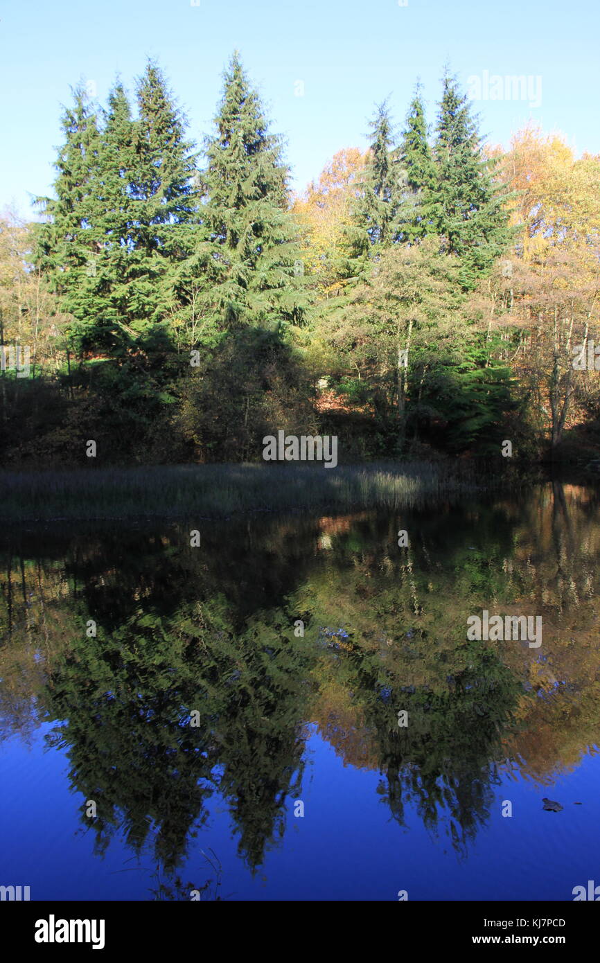 Rivelin Valley, Sheffield Stock Photo - Alamy