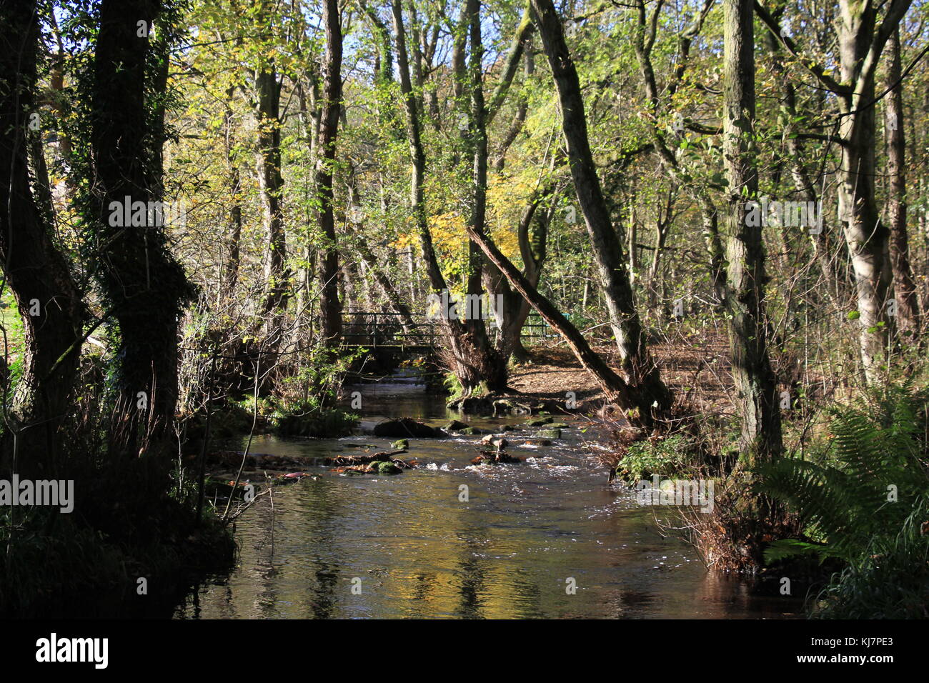 Rivelin Valley, Sheffield Stock Photo - Alamy