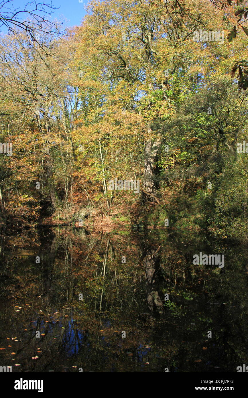 Rivelin Valley Sheffield Stock Photos & Rivelin Valley Sheffield Stock ...