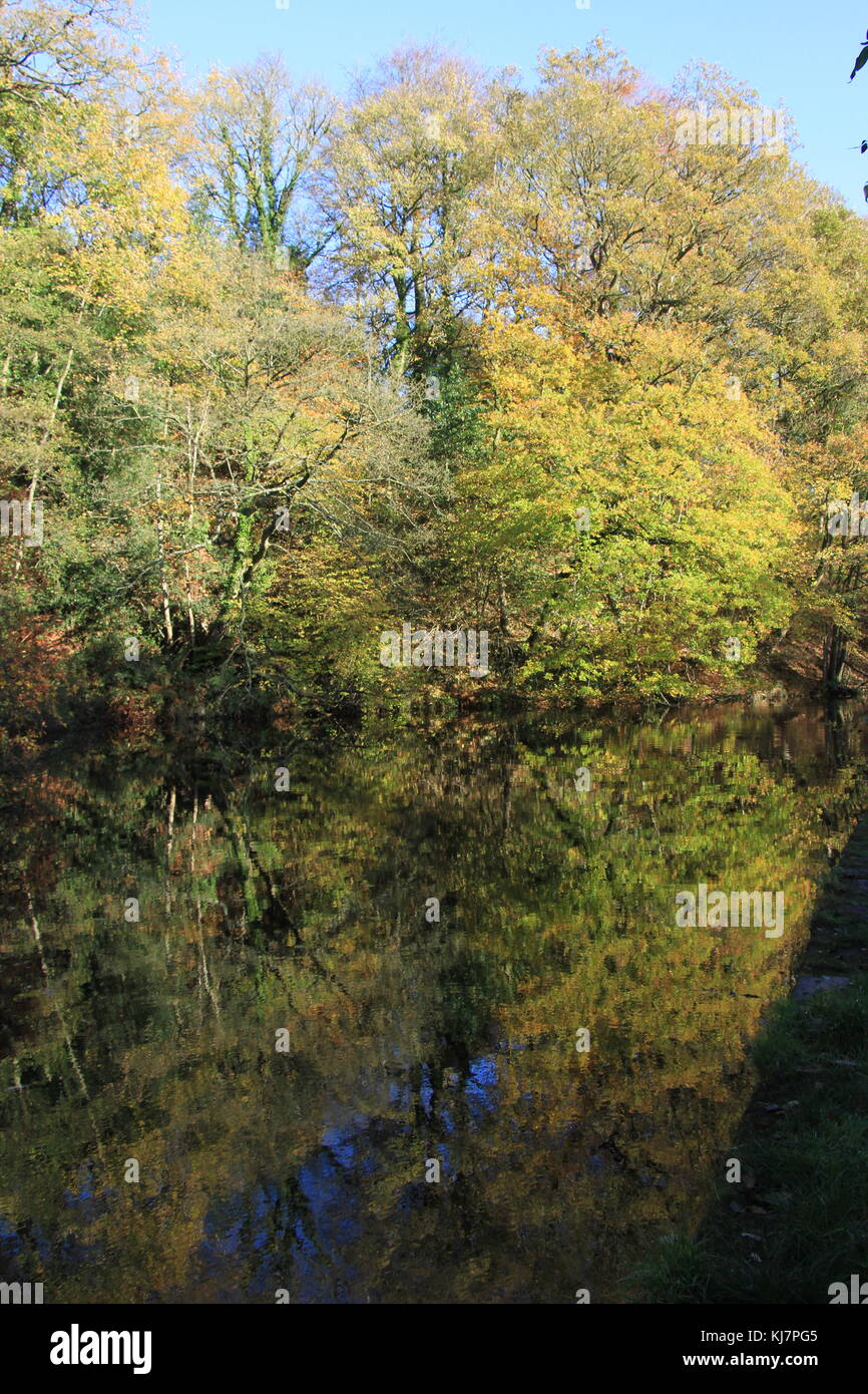 Rivelin Valley, Sheffield Stock Photo - Alamy