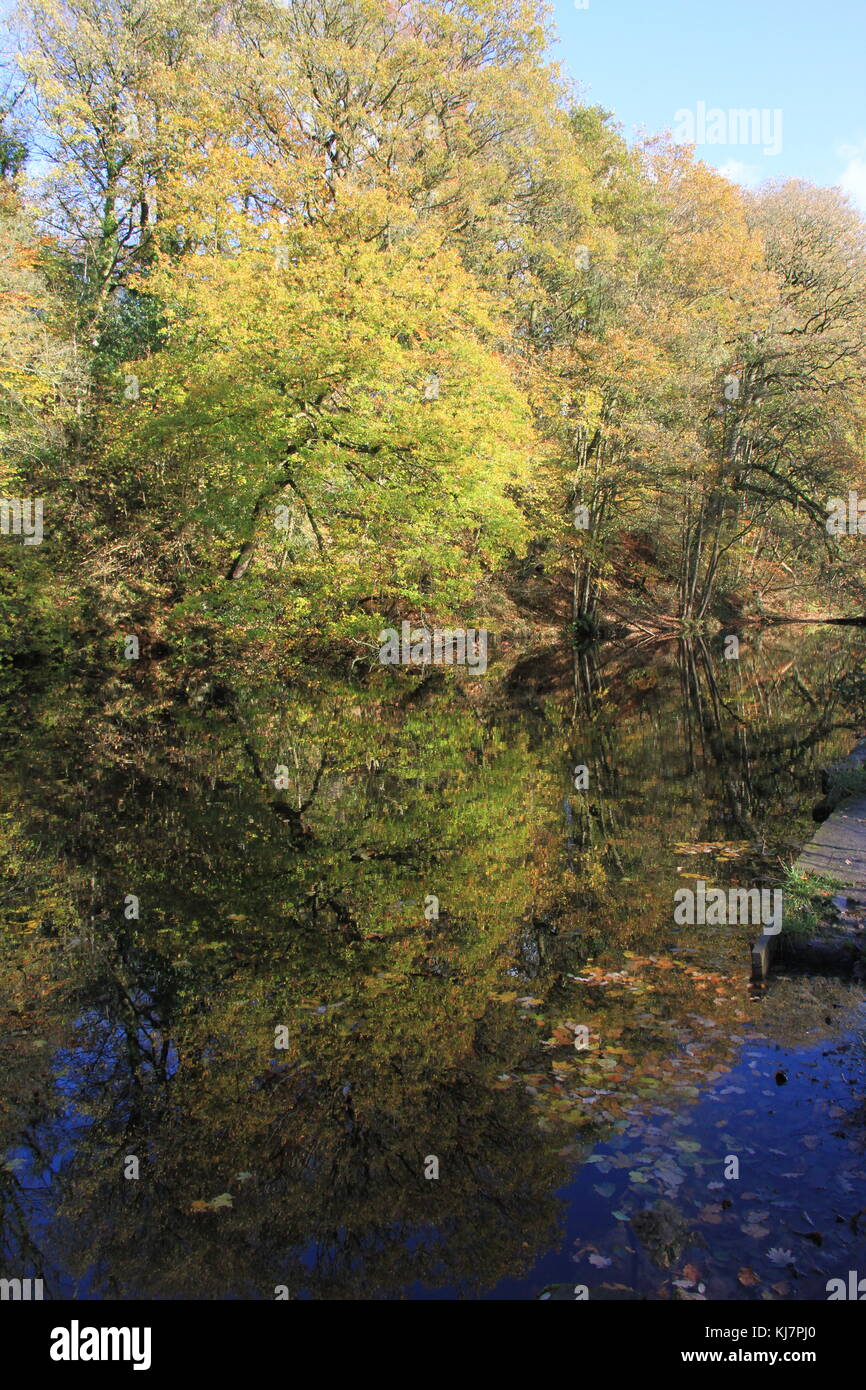 Rivelin Valley, Sheffield Stock Photo - Alamy