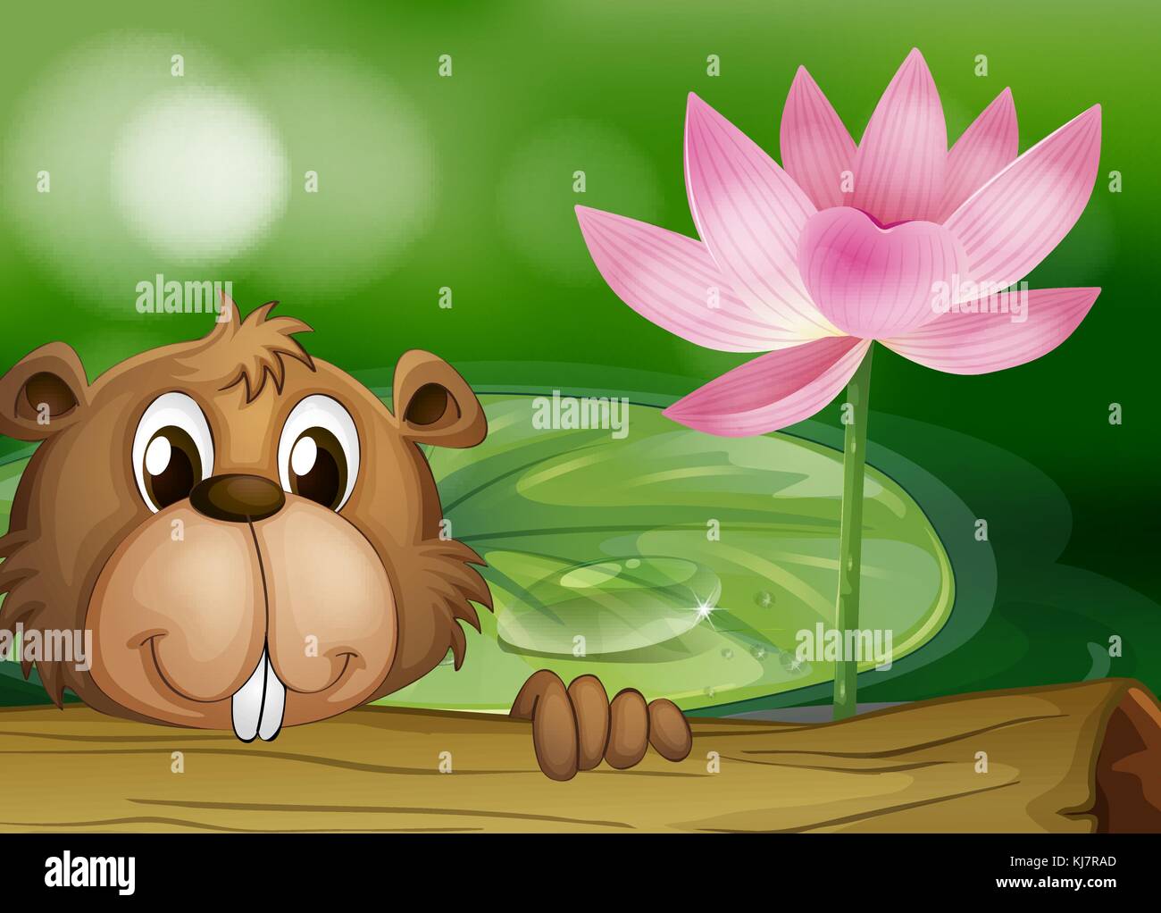 Illustration of a beaver beside a pink flower Stock Vector Image & Art ...