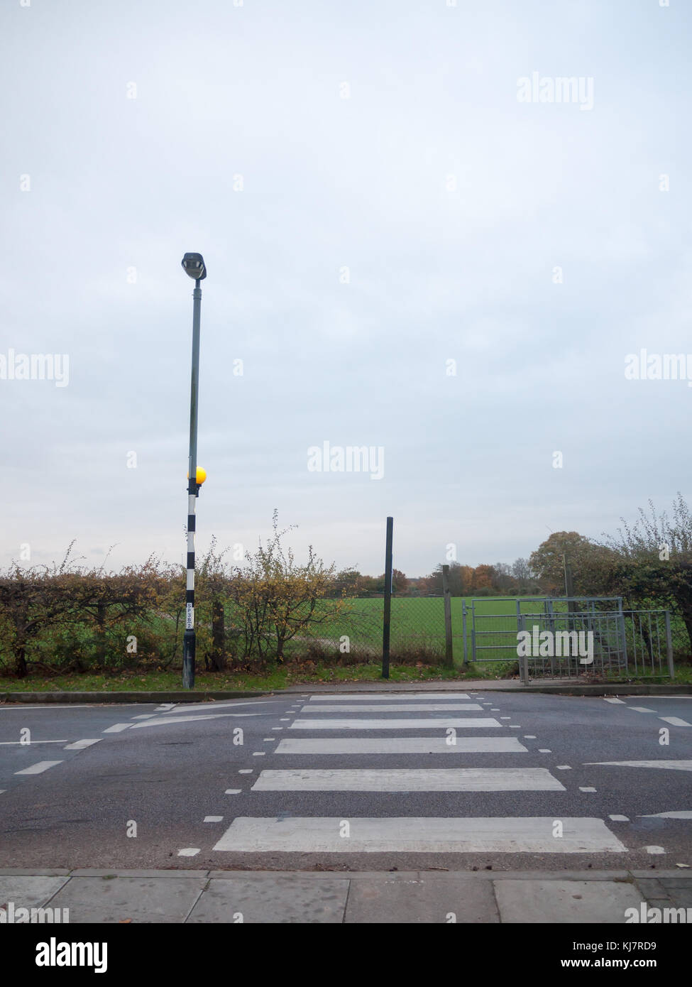 clear road zebra crossing road outside pole street lamp; essex; england ...
