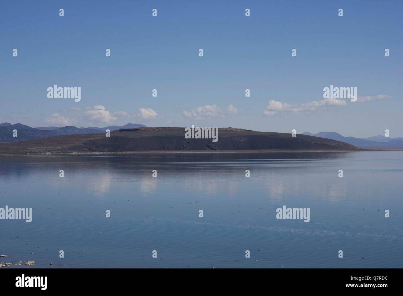 Mammoth desert hi-res stock photography and images - Alamy