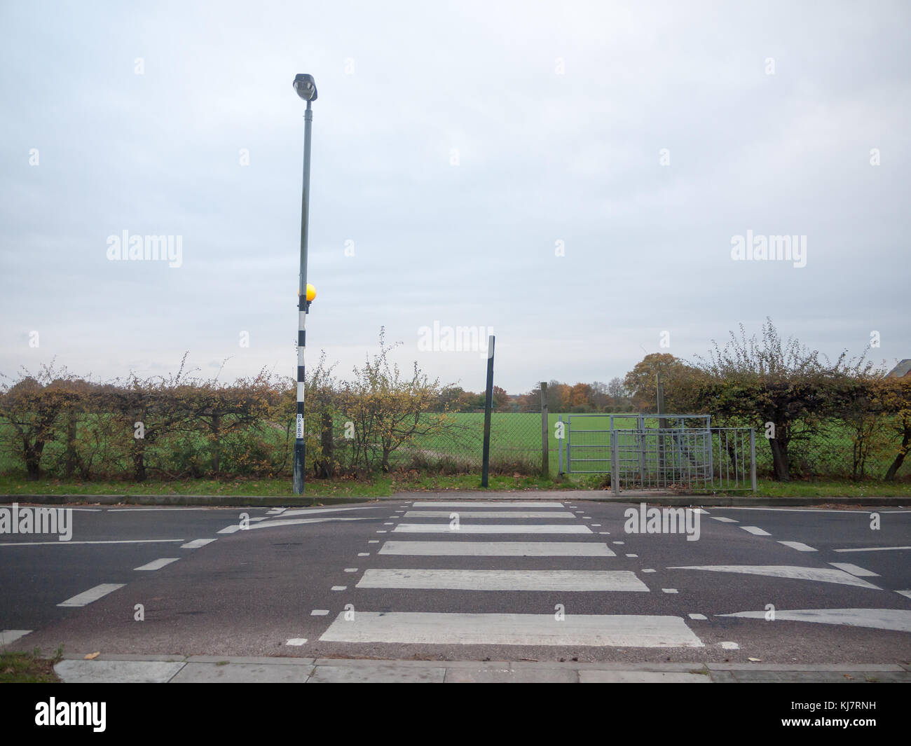 clear road zebra crossing road outside pole street lamp; essex; england ...
