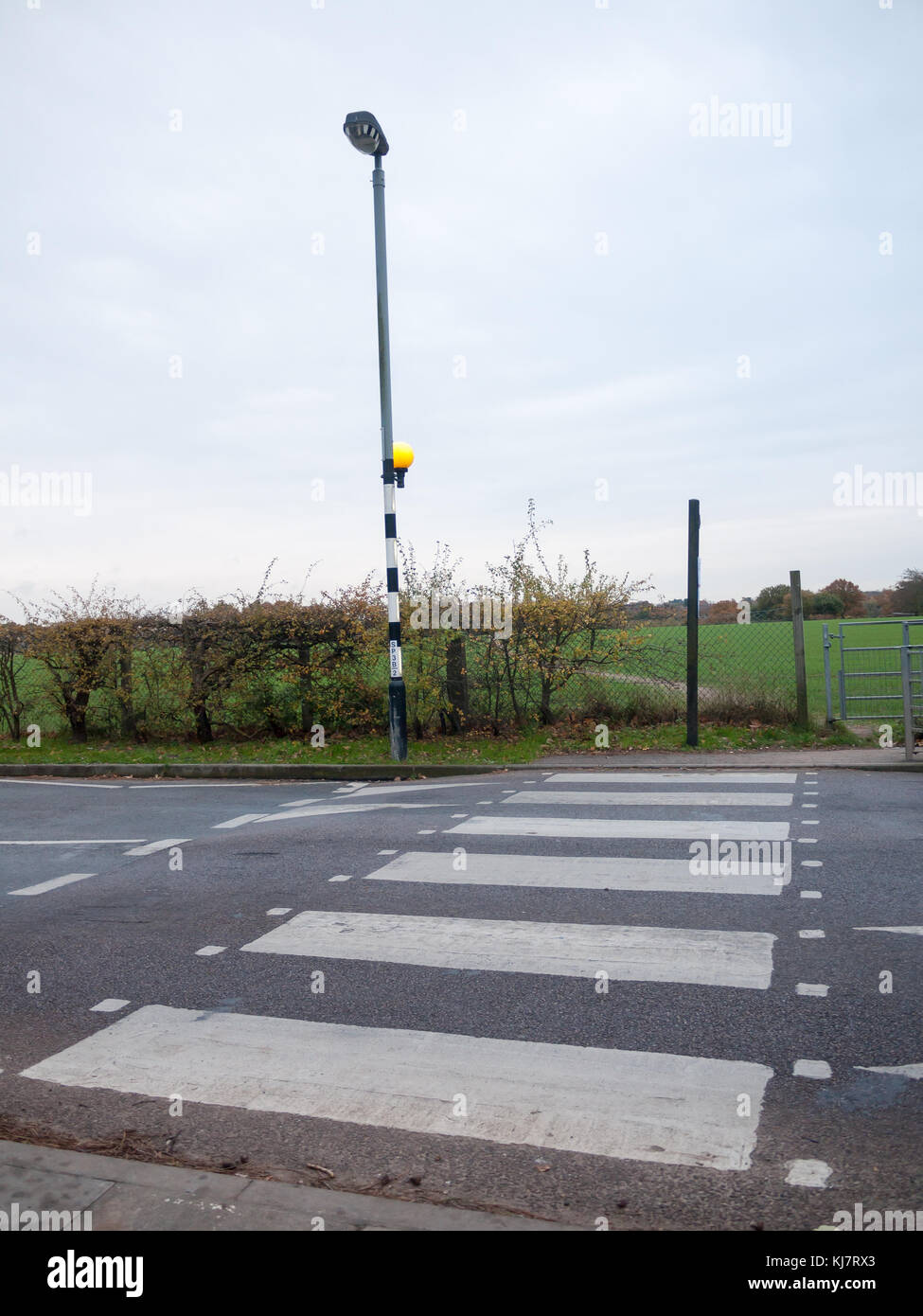 clear road zebra crossing road outside pole street lamp; essex; england ...