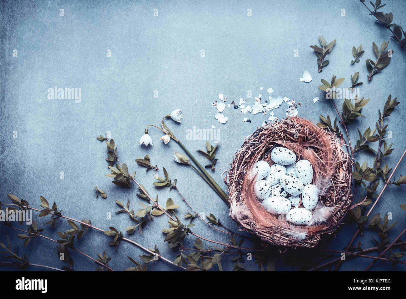 Easter background with nest of bird eggs,feathers and spring twigs and ...