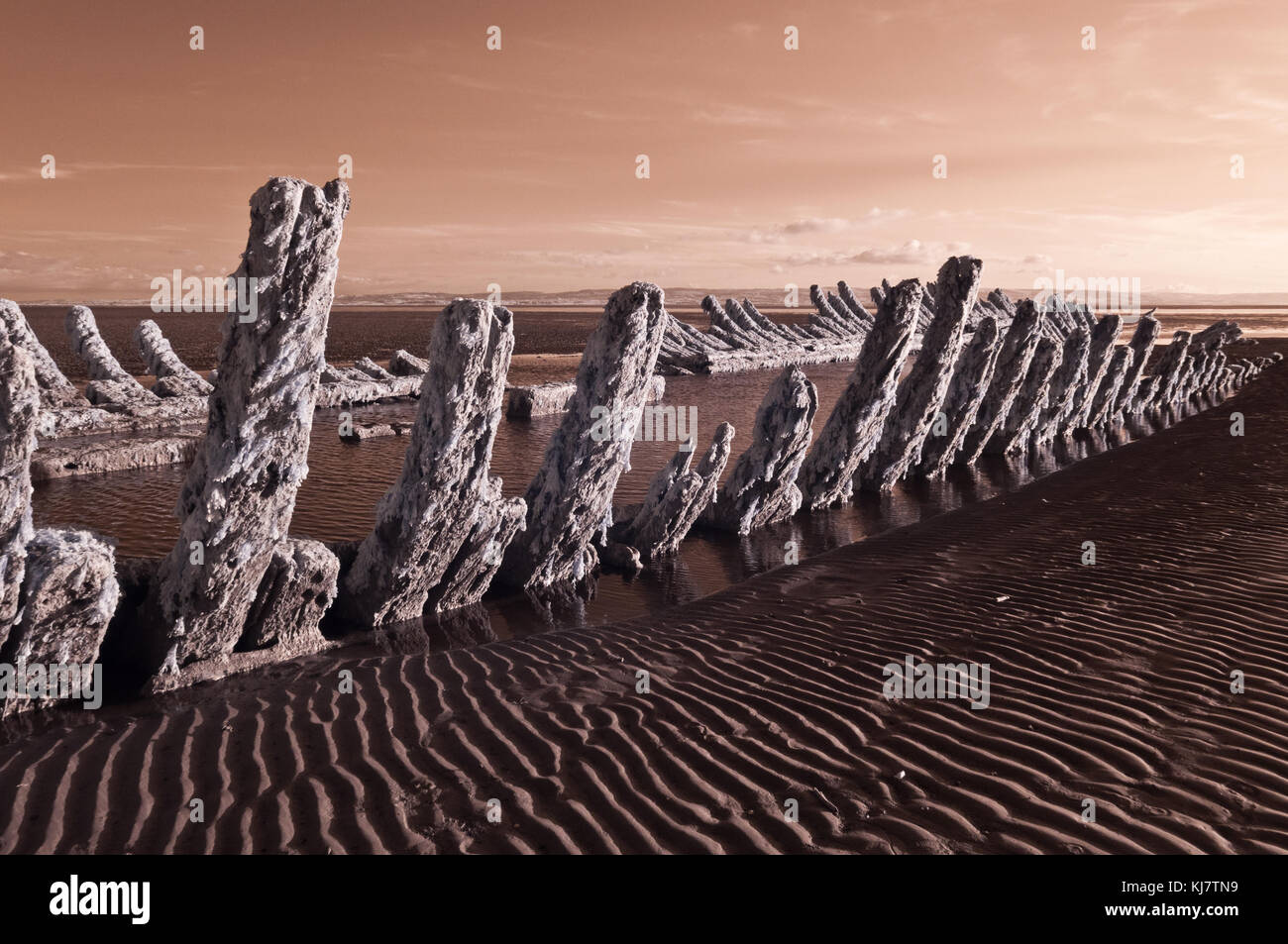 infrared picture of the exposed wreck of the wooden Norwegian barque SS ...