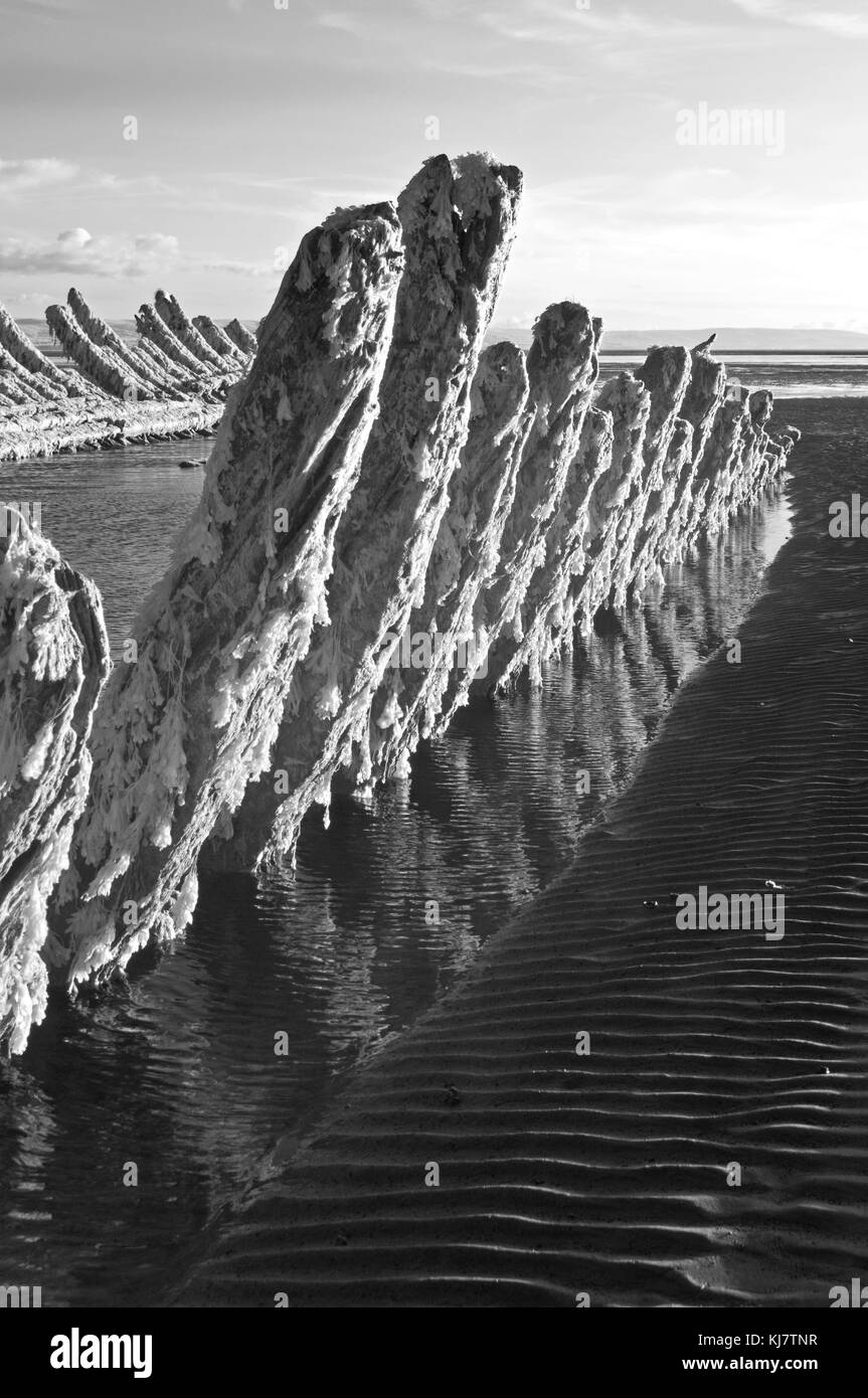 infrared picture of the exposed wreck of the wooden Norwegian barque SS ...