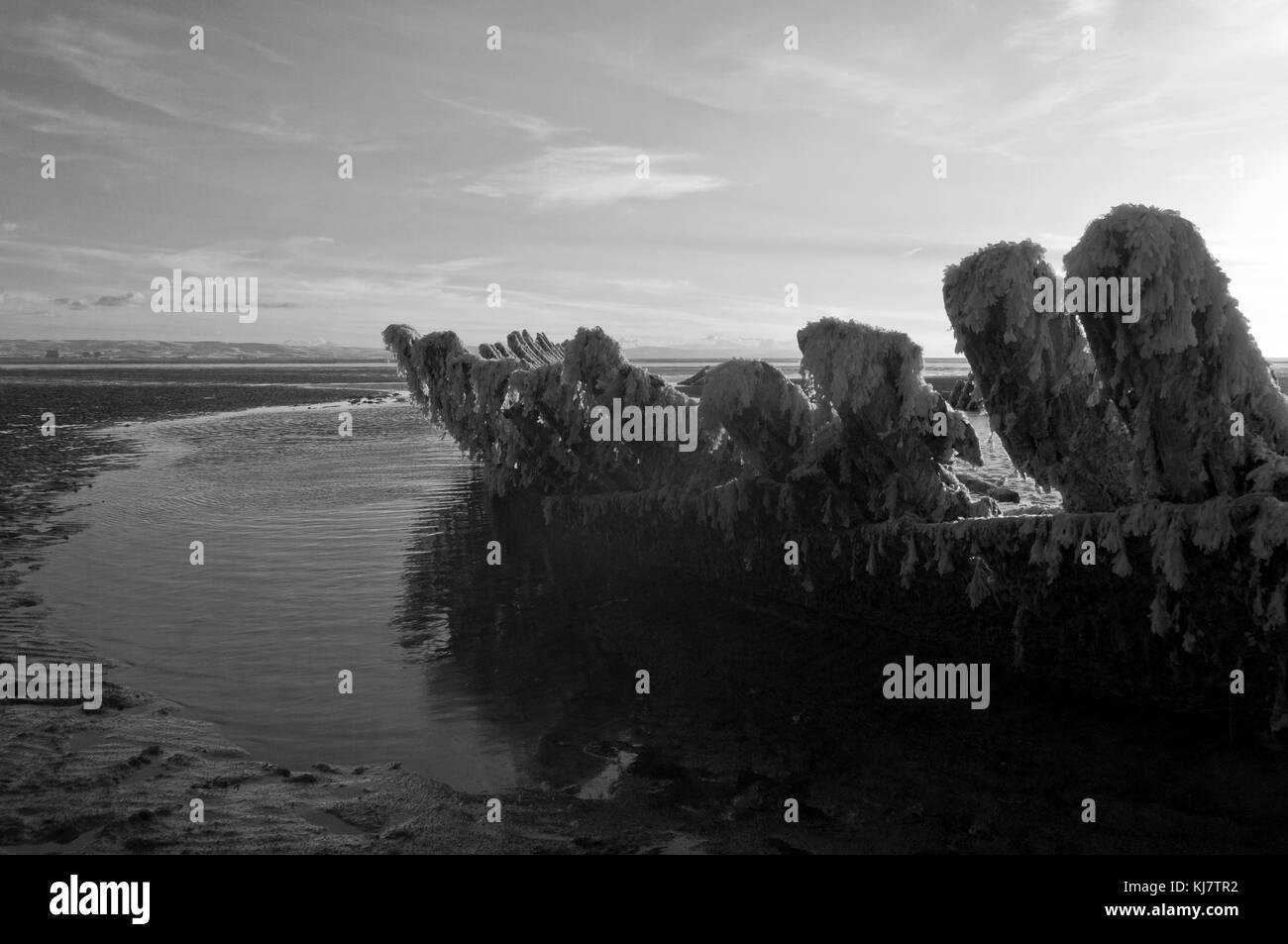 Norwegian barque Black and White Stock Photos & Images - Alamy