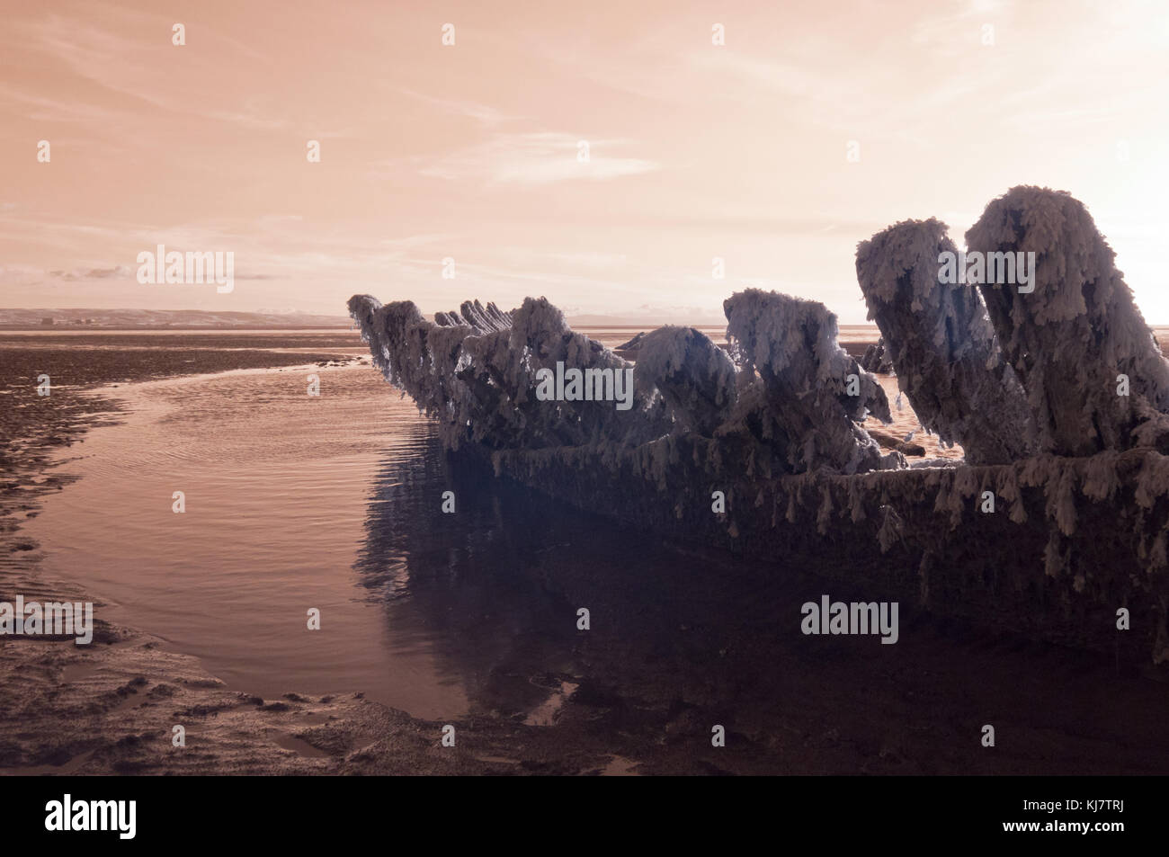 infrared picture of the exposed wreck of the wooden Norwegian barque SS ...