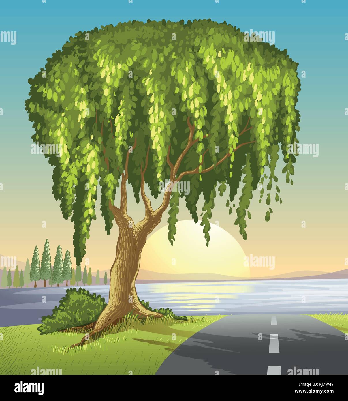 Illustration of a big tree at the road Stock Vector Image & Art - Alamy