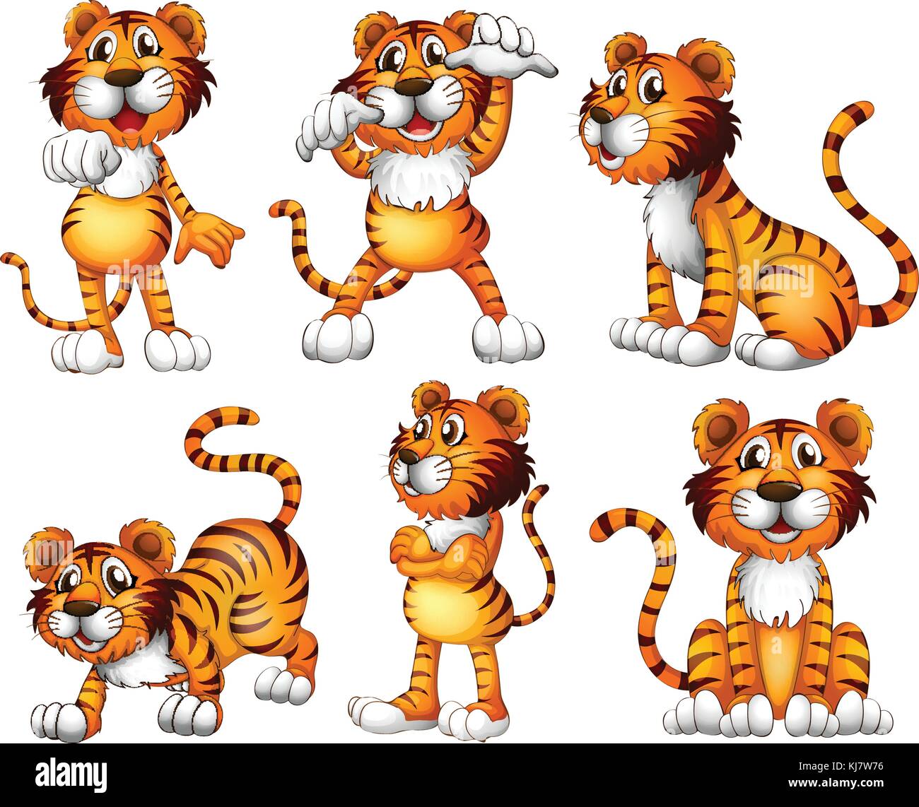 Illustration of the six positions of a tiger on a white background ...