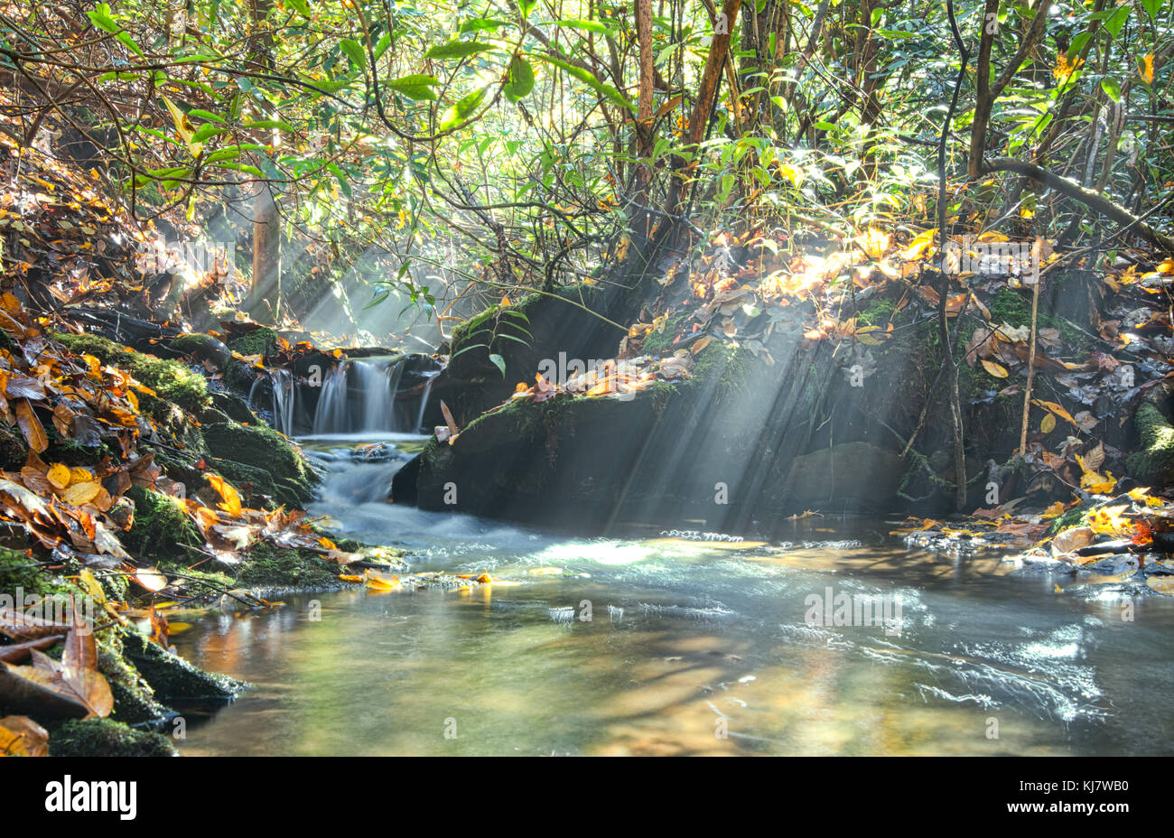Sunbeam falls hi-res stock photography and images - Alamy