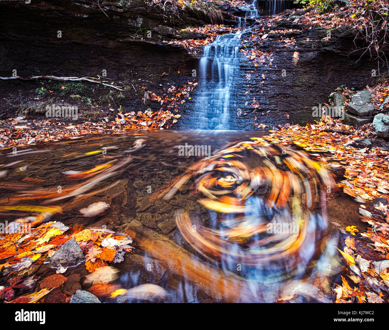 Swirl of leaves hi-res stock photography and images - Alamy