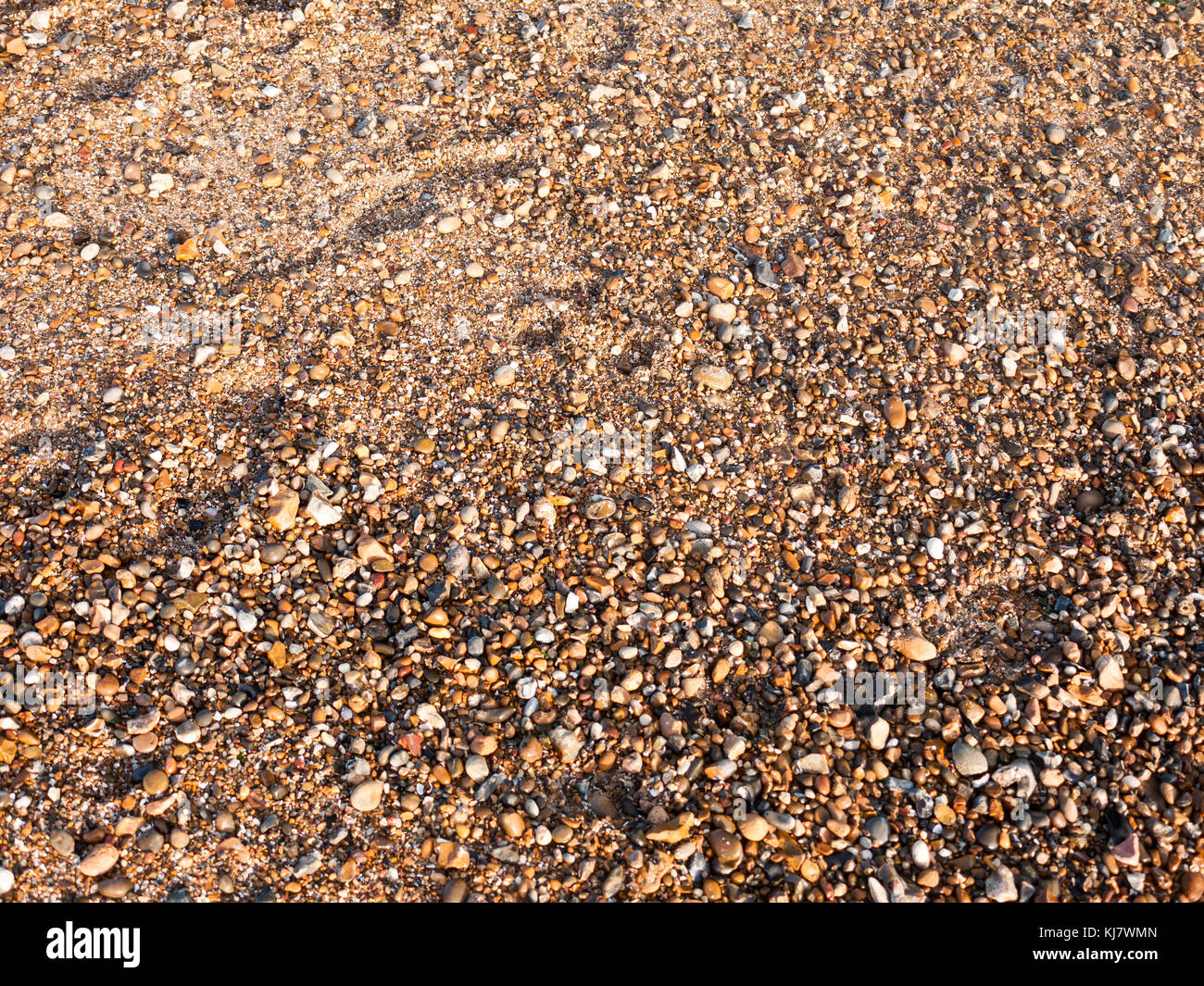 beach floor background texture stones cobbles various wet sun; west ...