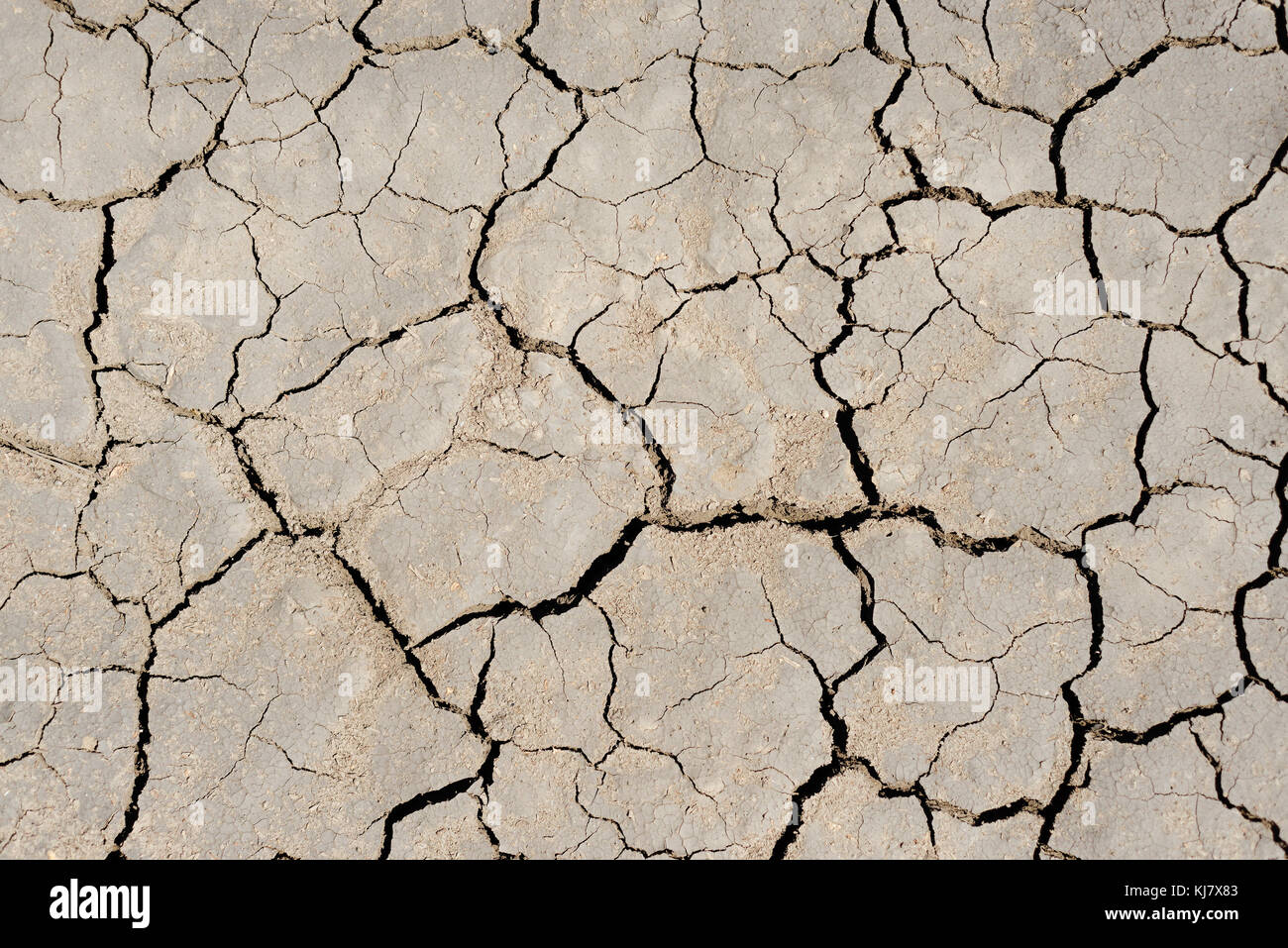 drought earth closeup as textured background Stock Photo - Alamy
