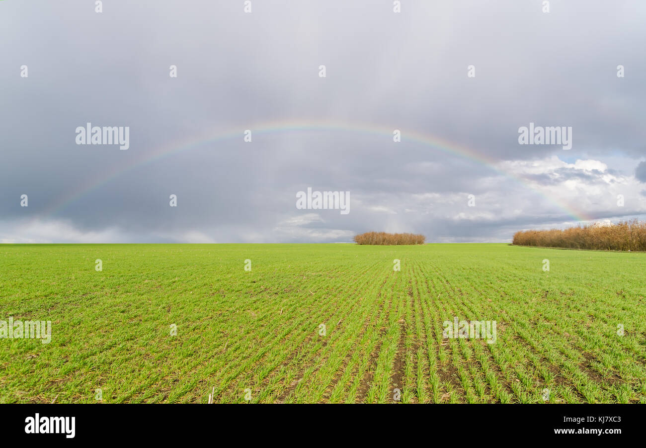 Rainbow over green hi-res stock photography and images - Alamy