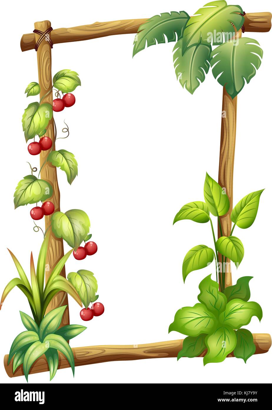 Illustration of a frame made of wood with vine plants on a white ...