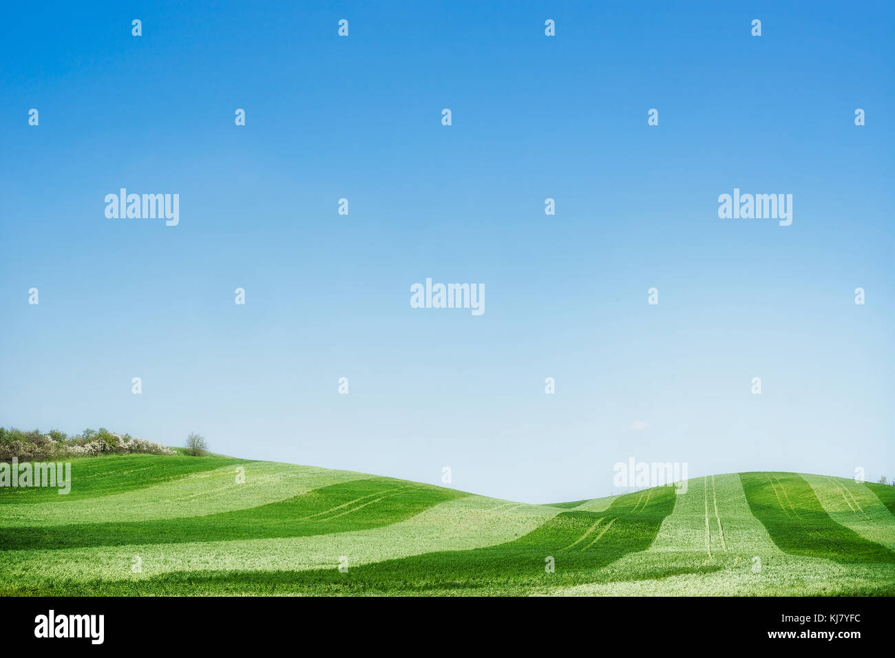 Beautiful summer landscape background , outdoor nature background for a ...