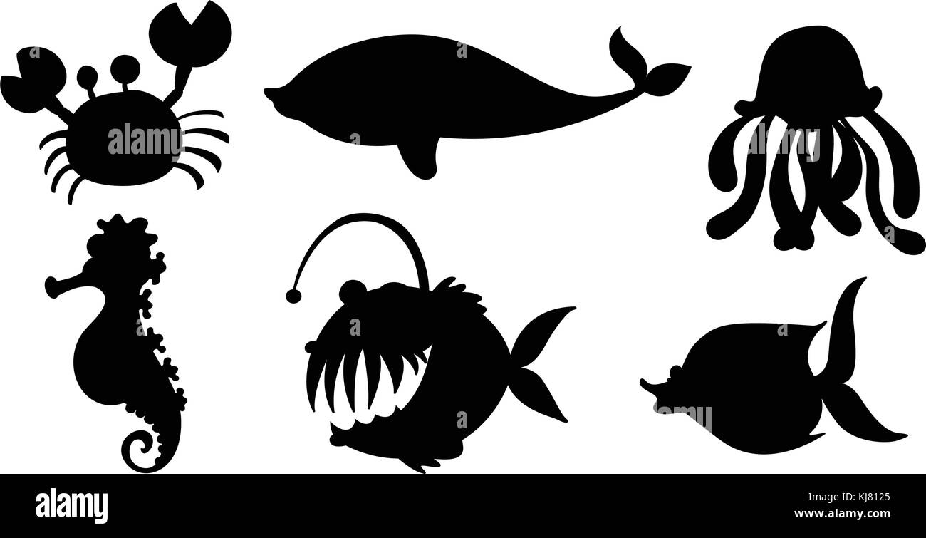 Sea Creatures Black and White Stock Photos & Images - Alamy