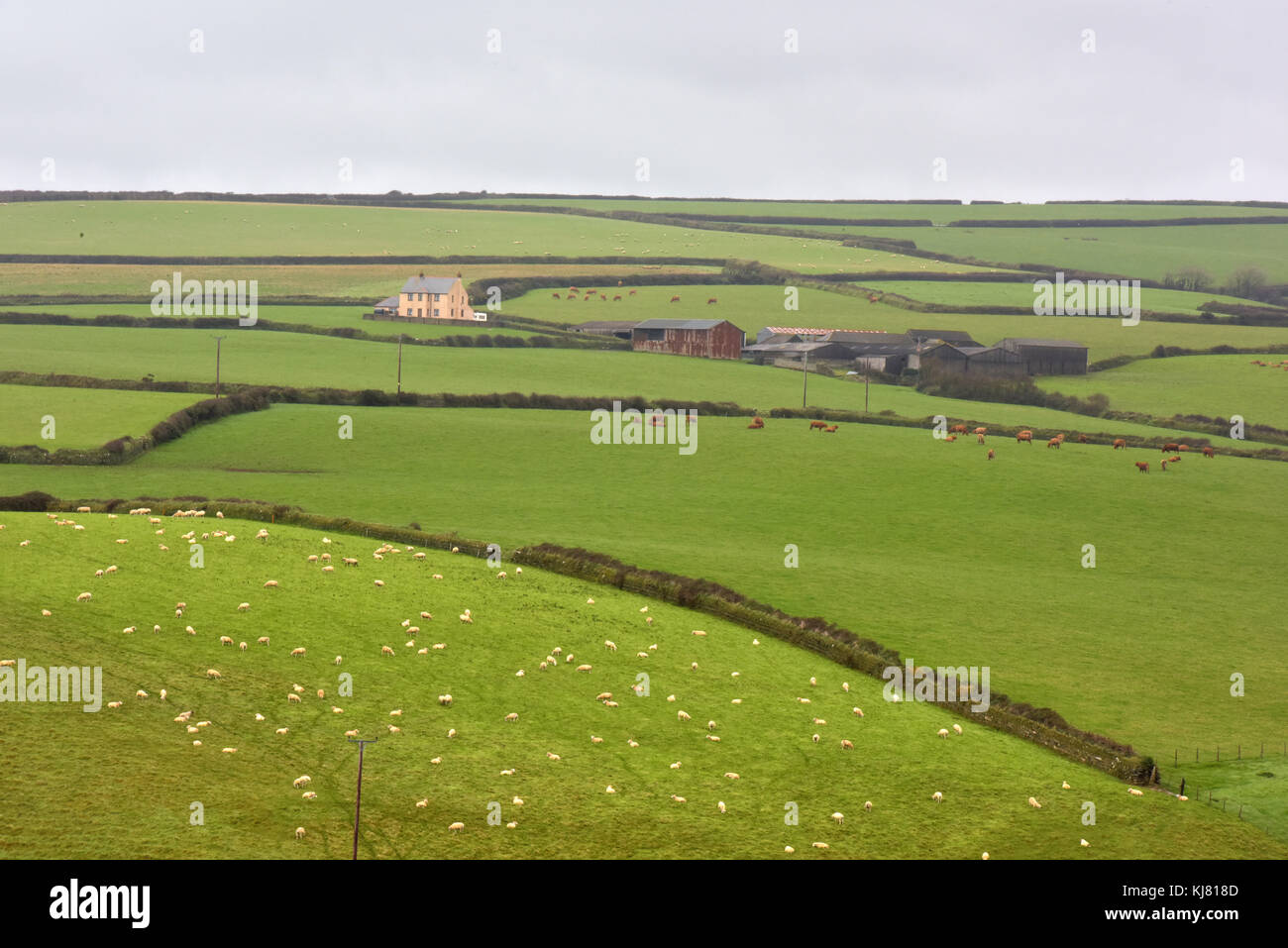 a remote farmhouse and farm buildings in a beautiful green and lush ...