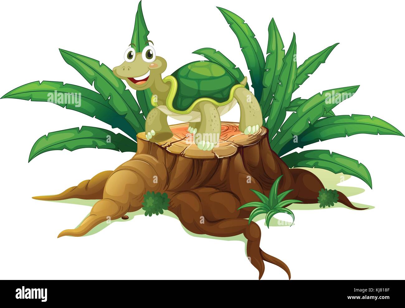 Old Turtle Vector High Resolution Stock Photography and Images - Alamy