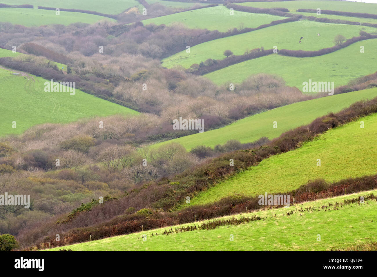 Arable farming systems hi-res stock photography and images - Alamy