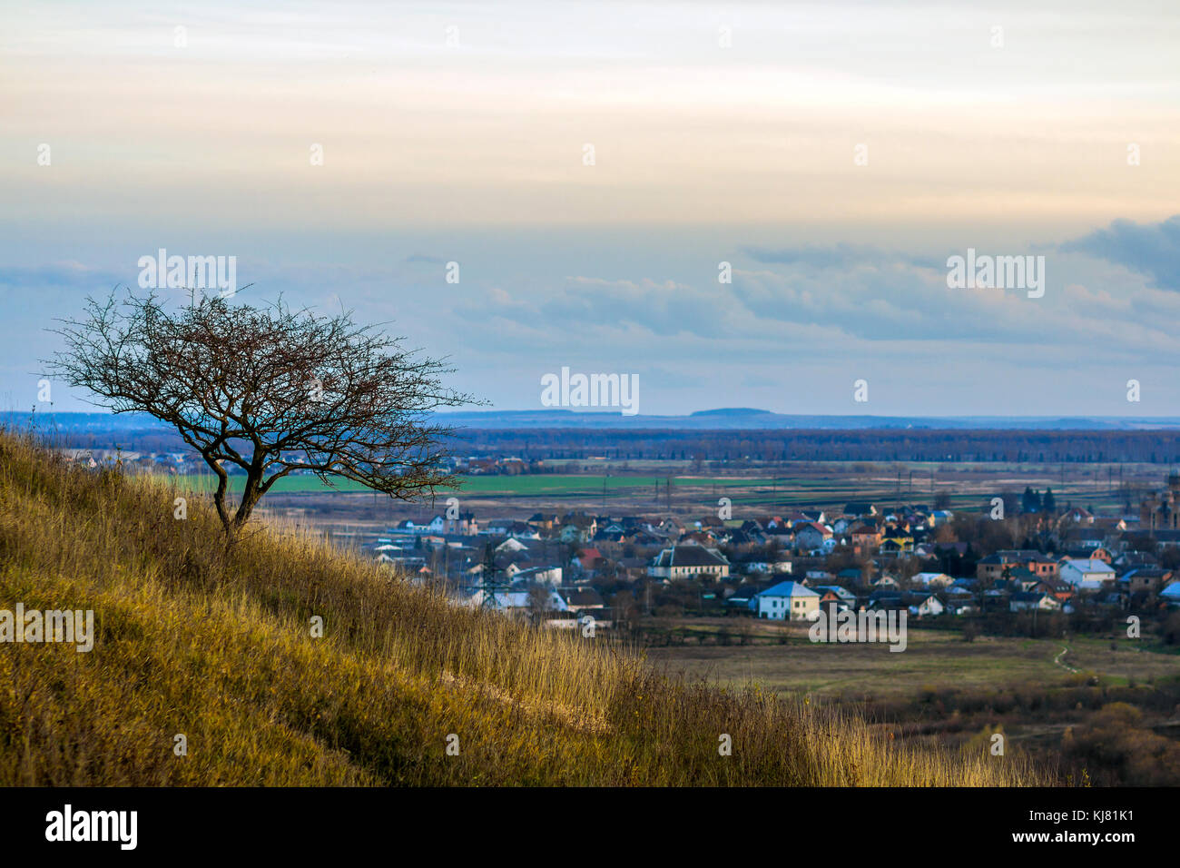 City skyline silhouette standing on hi-res stock photography and images ...