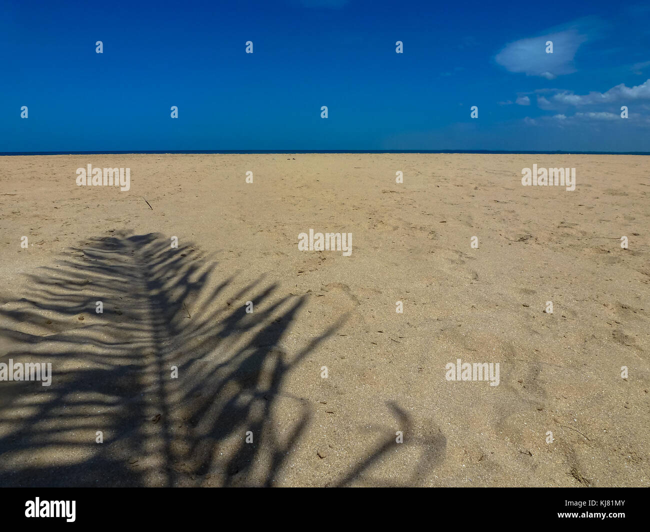 Tropical beach shadow coconut tree hi-res stock photography and images ...