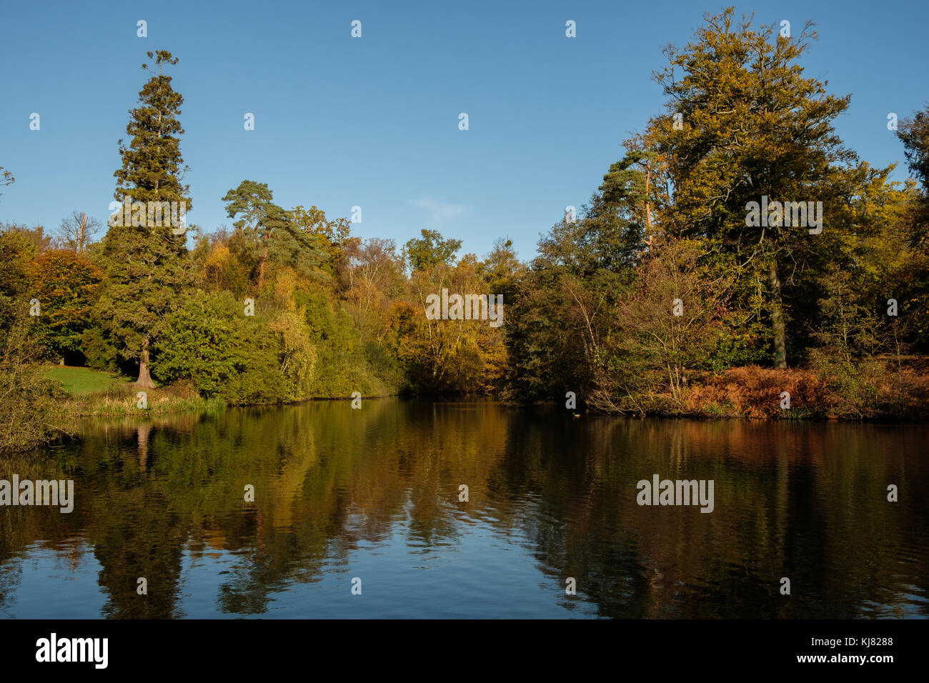Wick Pond a part of Virginia Water Lake Stock Photo - Alamy